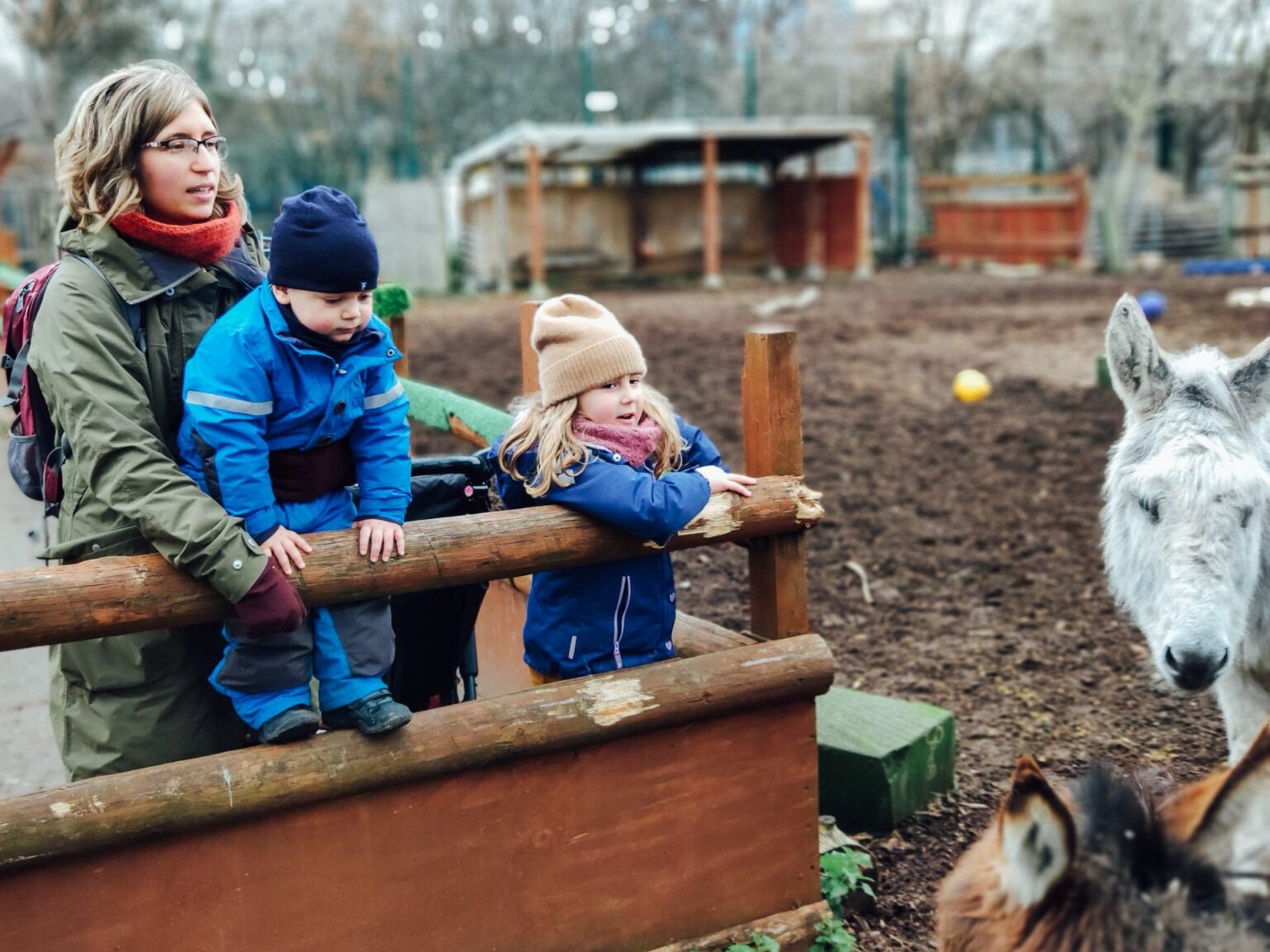 Why Visiting Farms is Great for Kids? Educational and Fun Experiences ...